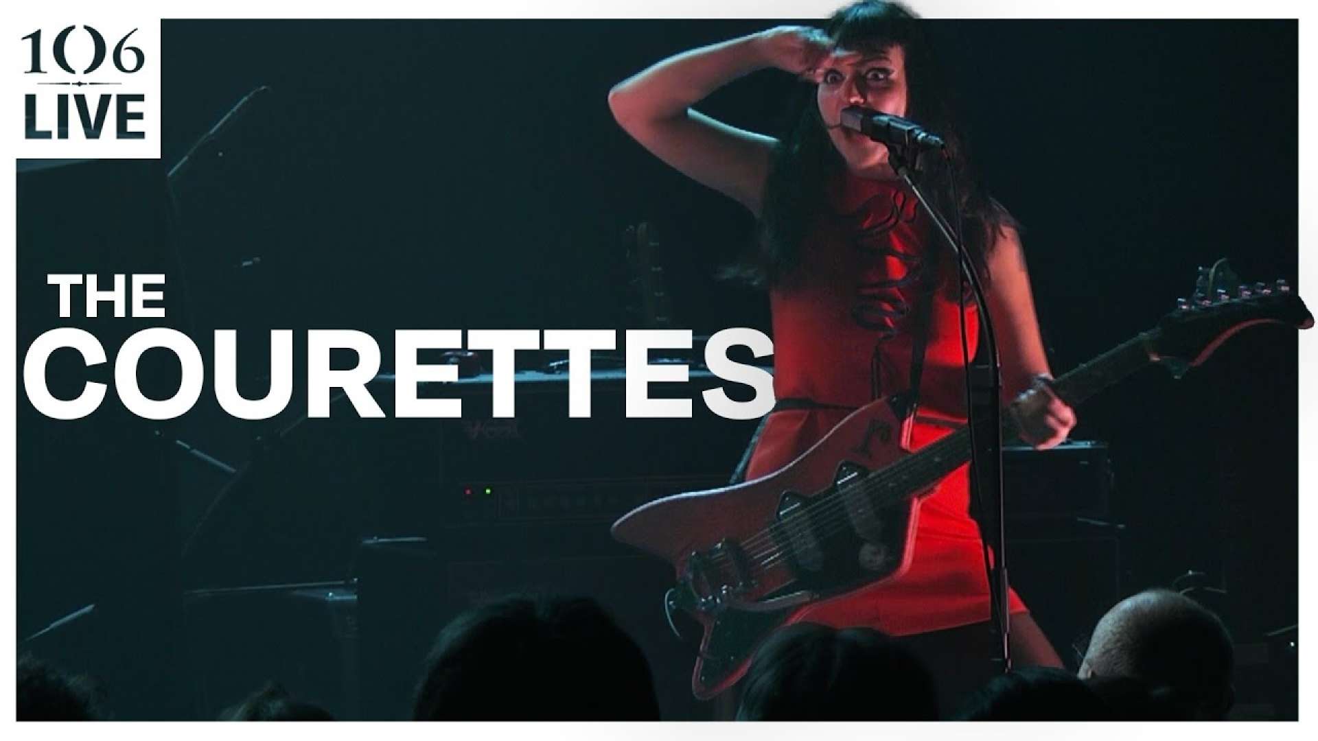 The courettes nuits aligator